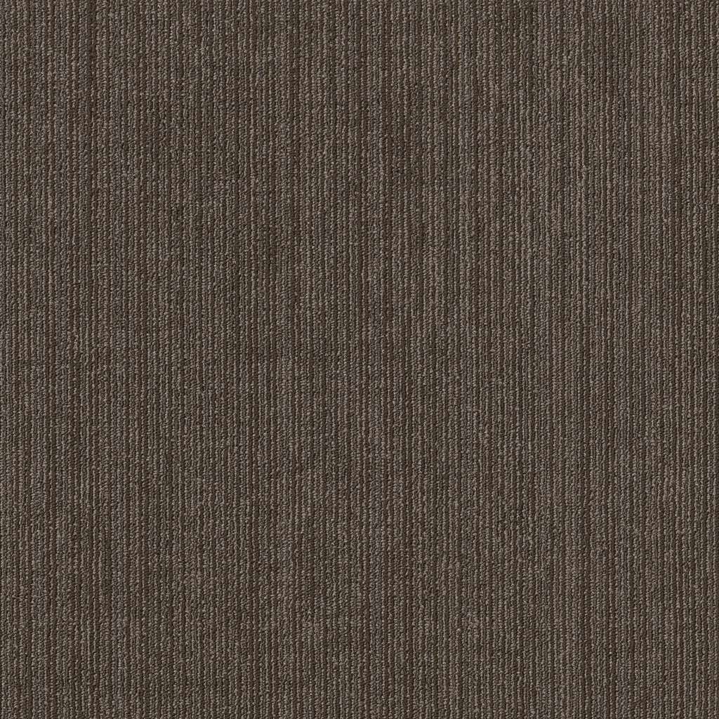 Shaw Floors - 5th & Main Carpet - Native Collection - INDIGENOUS