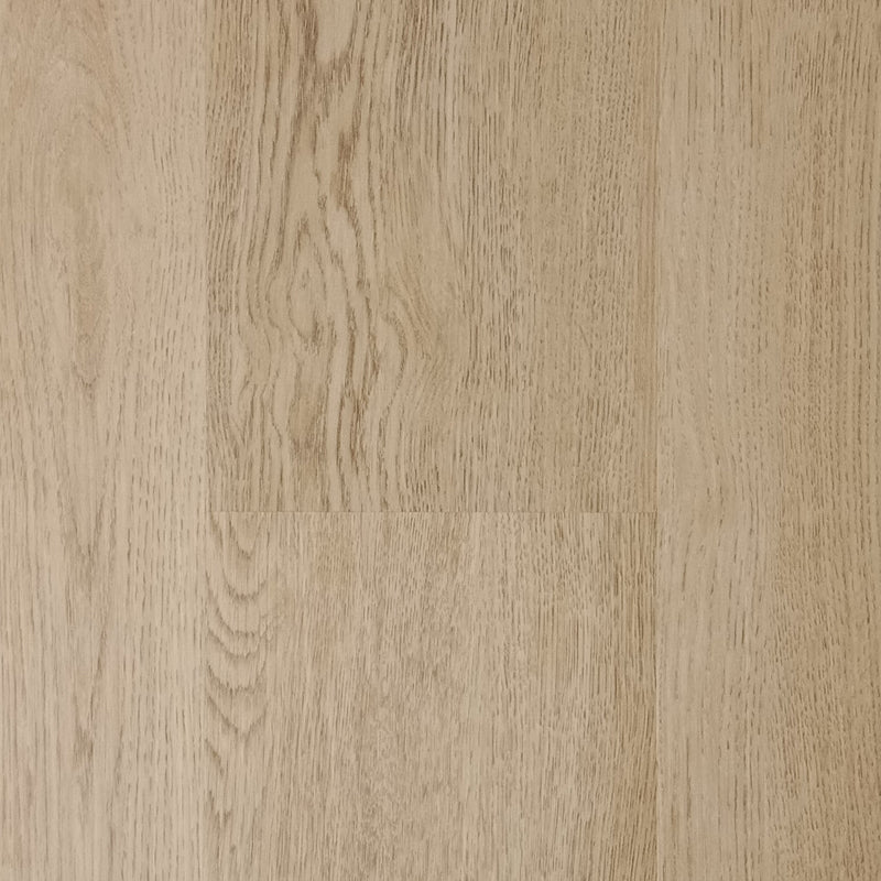 Pontek - SPC Collection - Juniper – Word of Mouth Floors