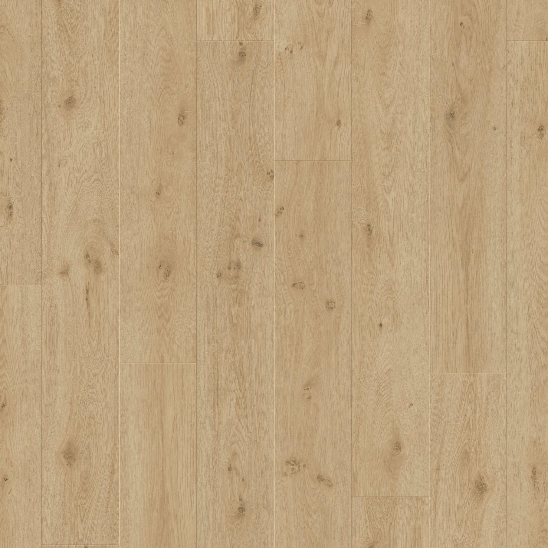 TORLYS - Grand View Collection - Midas Oak