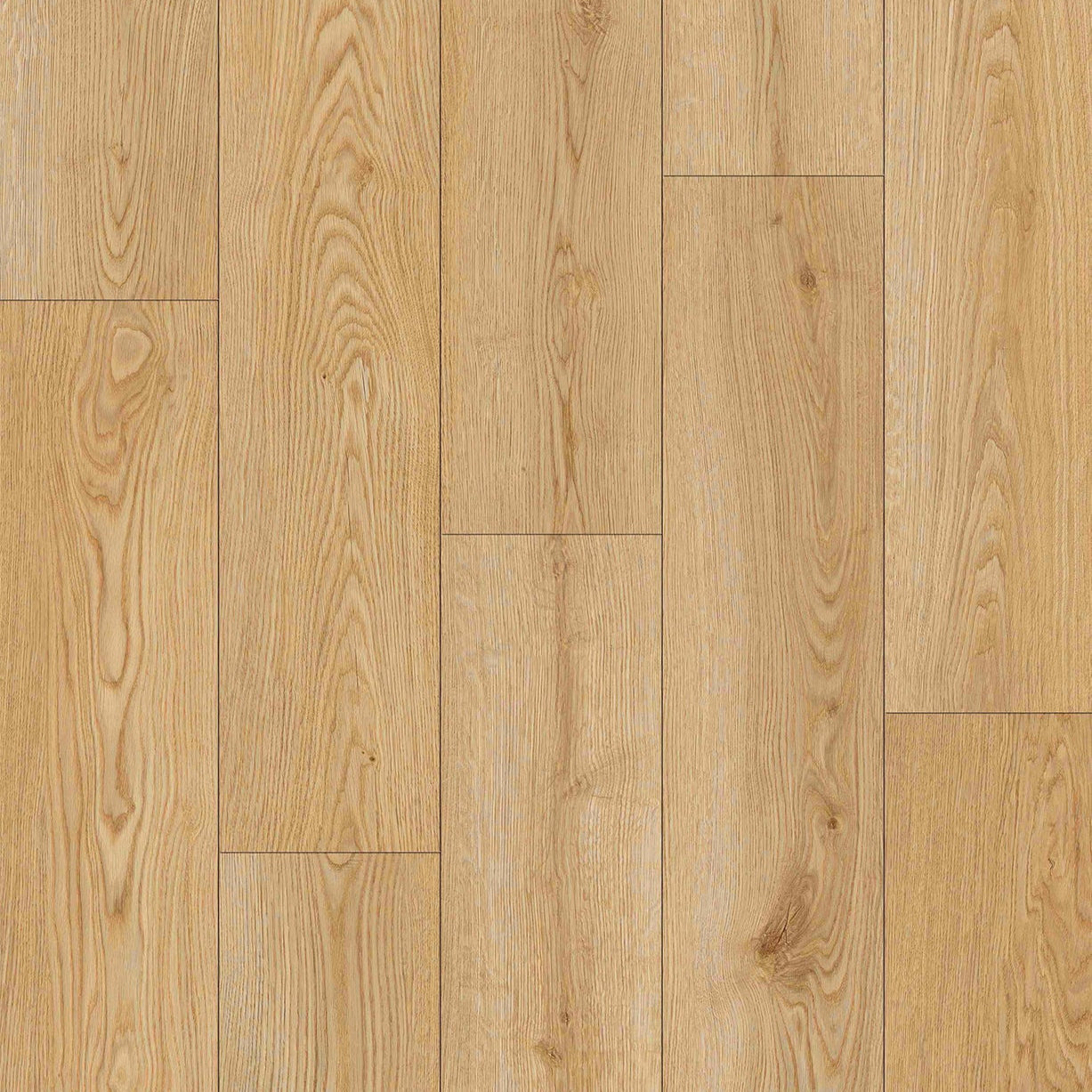 TAIGA - HydroXpert Collection - Roasted Brown
