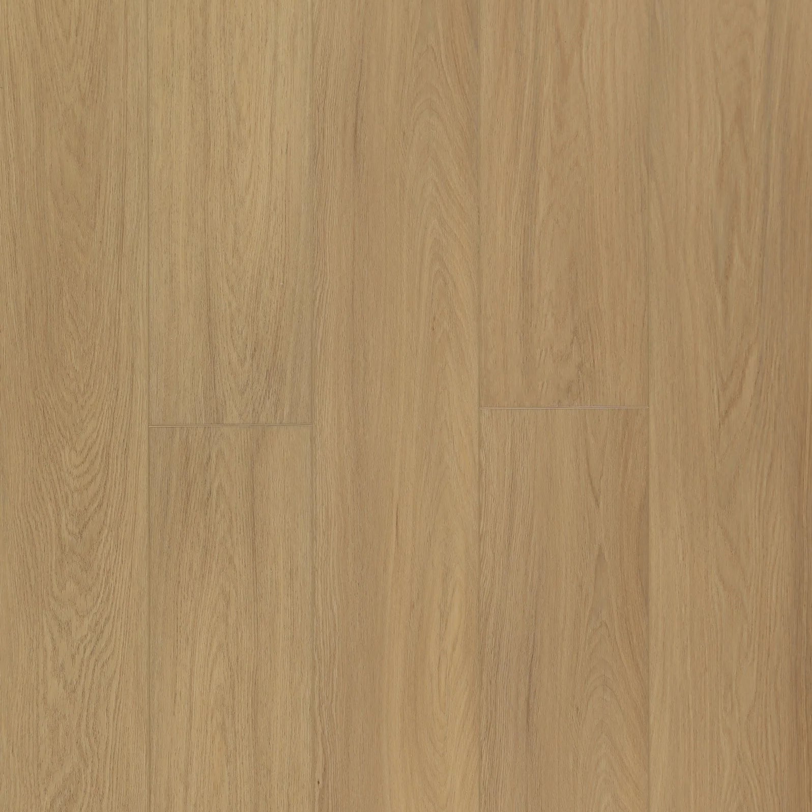 Monterey - Duranova Collection - Sunlit Pine