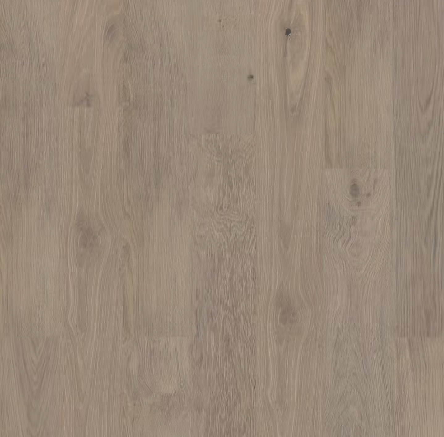 BIYORK - Nouveau 6 Collection - Laguna Coastline