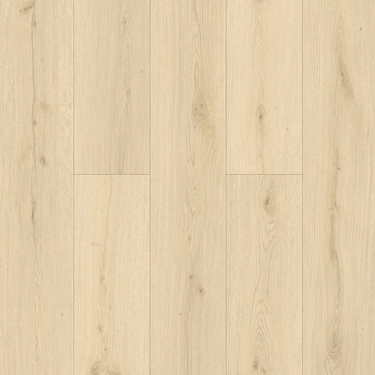 TAIGA - HydroXpert Collection - Wild Oak