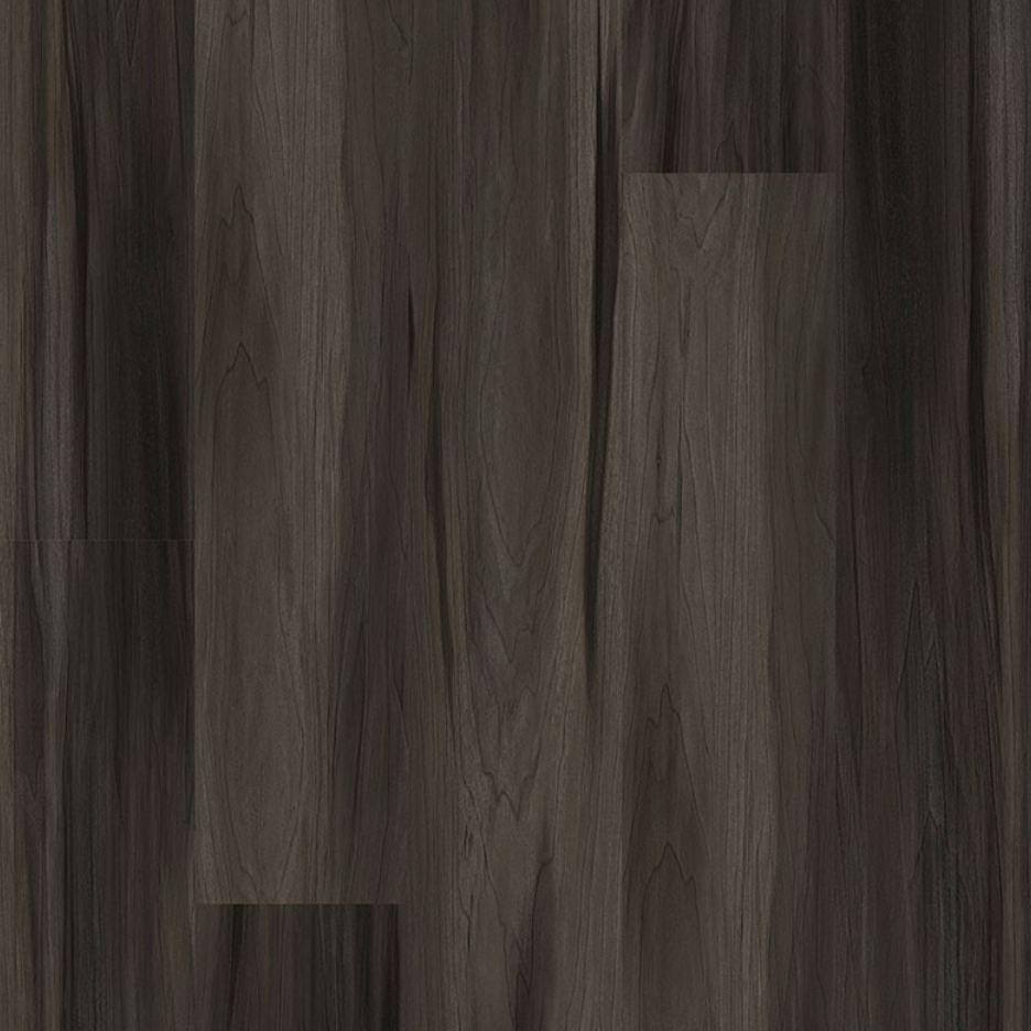 MSI Surfaces - Cyrus Collection - Jenta