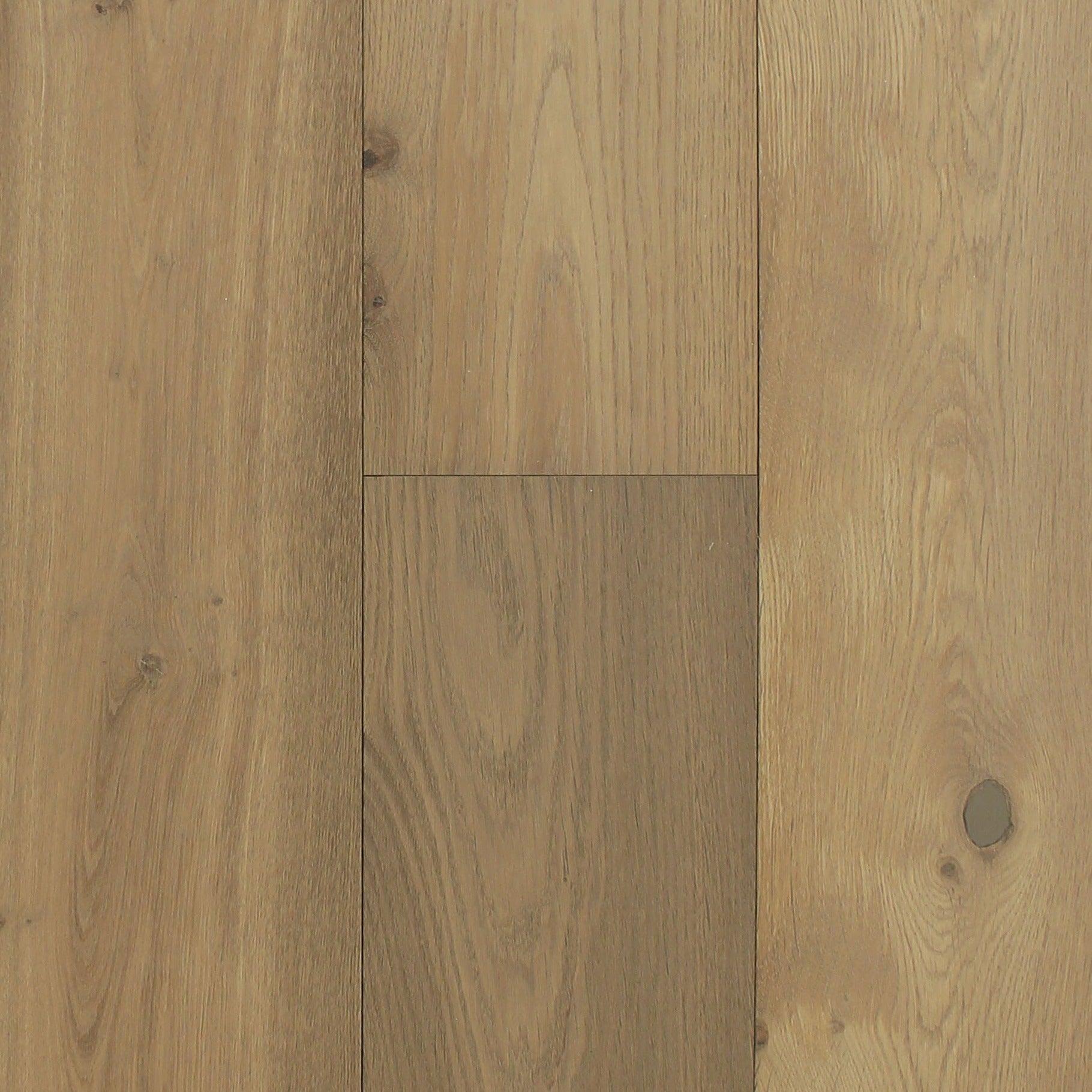 PRAVADA - Canvas Collection - Monogram